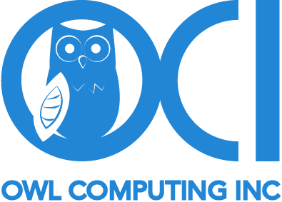 OWL Computing Development